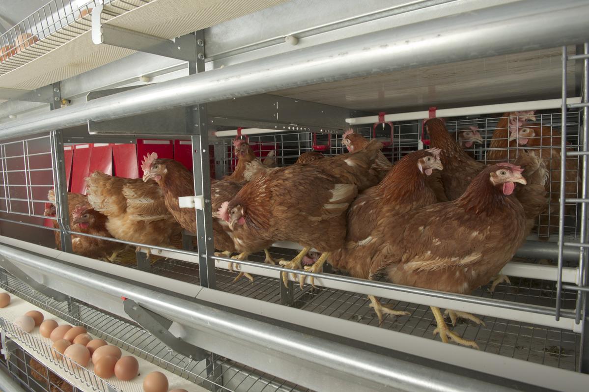 Burnbrae Farms and the University of Guelph ensure commitment to ...