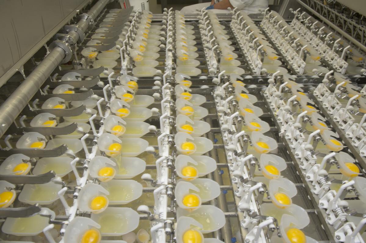 Naturegg Simply Egg Whites are Pasteurized