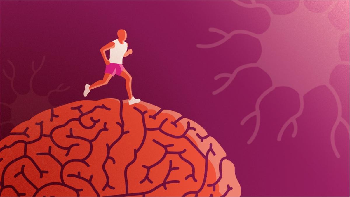 Uncovering the Cognitive Benefits of Lutein, Zeaxanthin and Choline