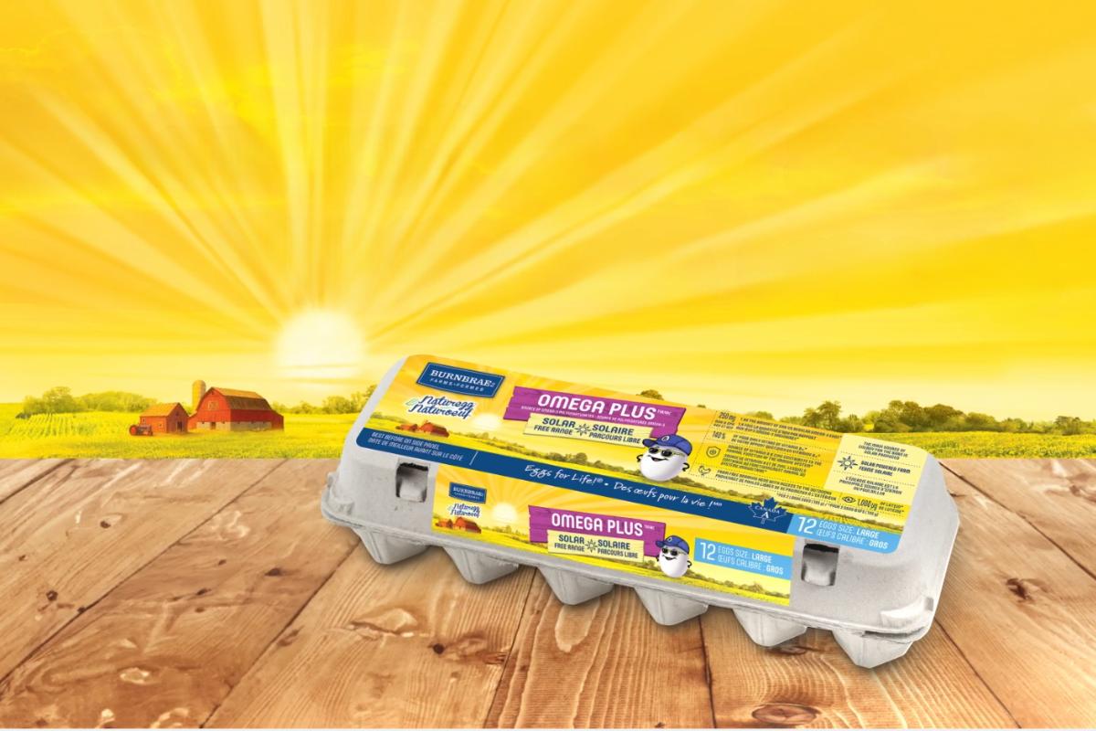 The Health Benefits of Omega-3 Fats