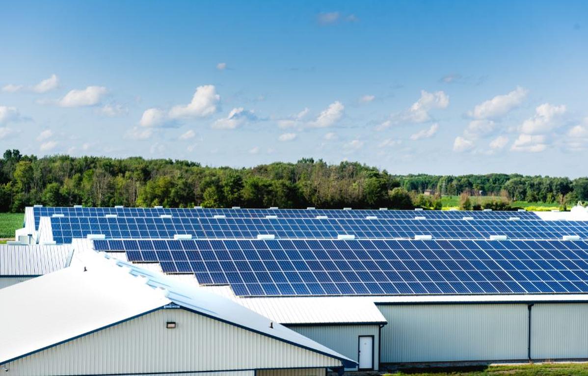Burnbrae Farms' Solar Powered Farm is nominated for the London Chamber ...